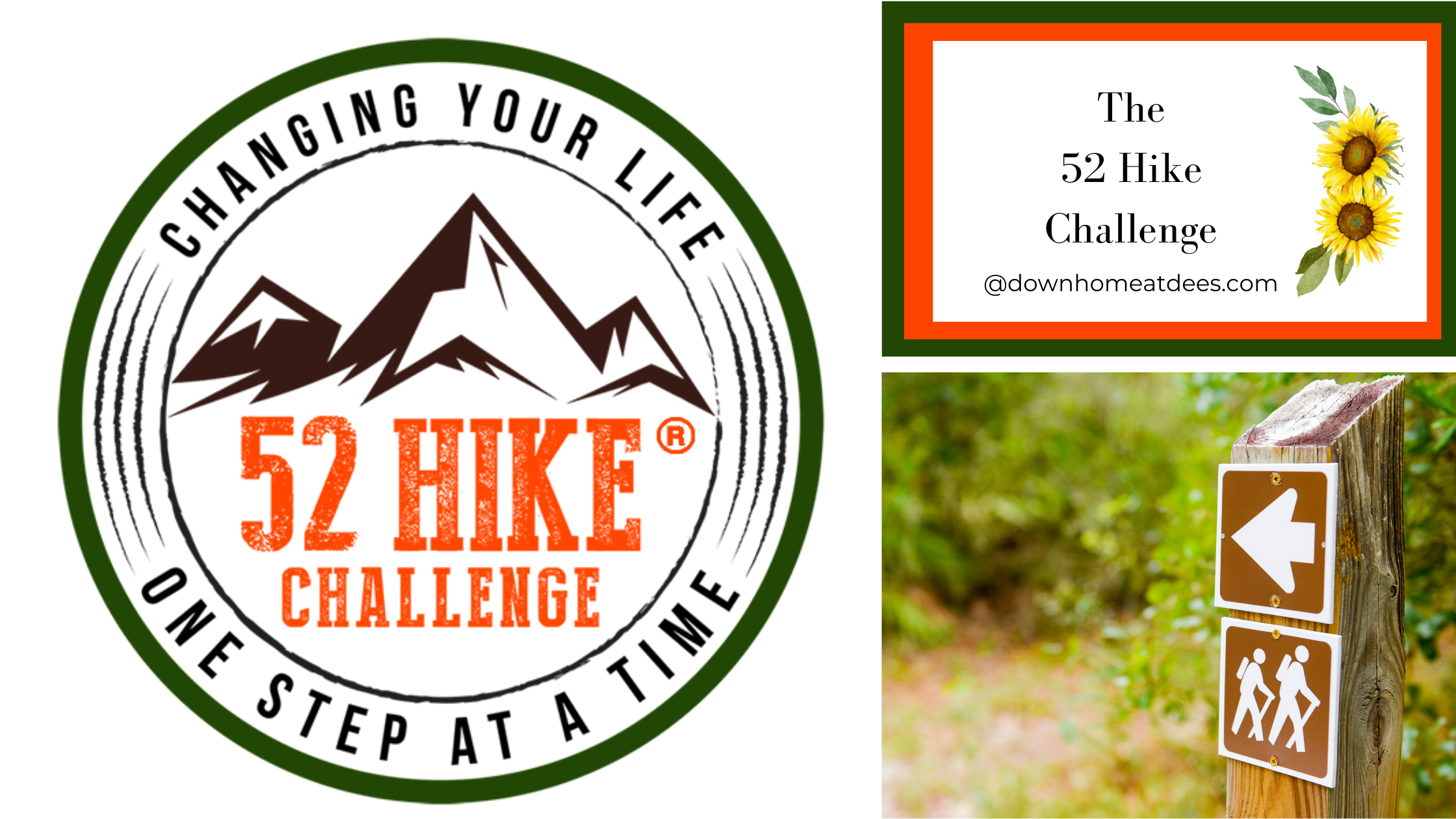 The 52 Hike Challenge: A Journey of Adventure and Exploration - Down ...