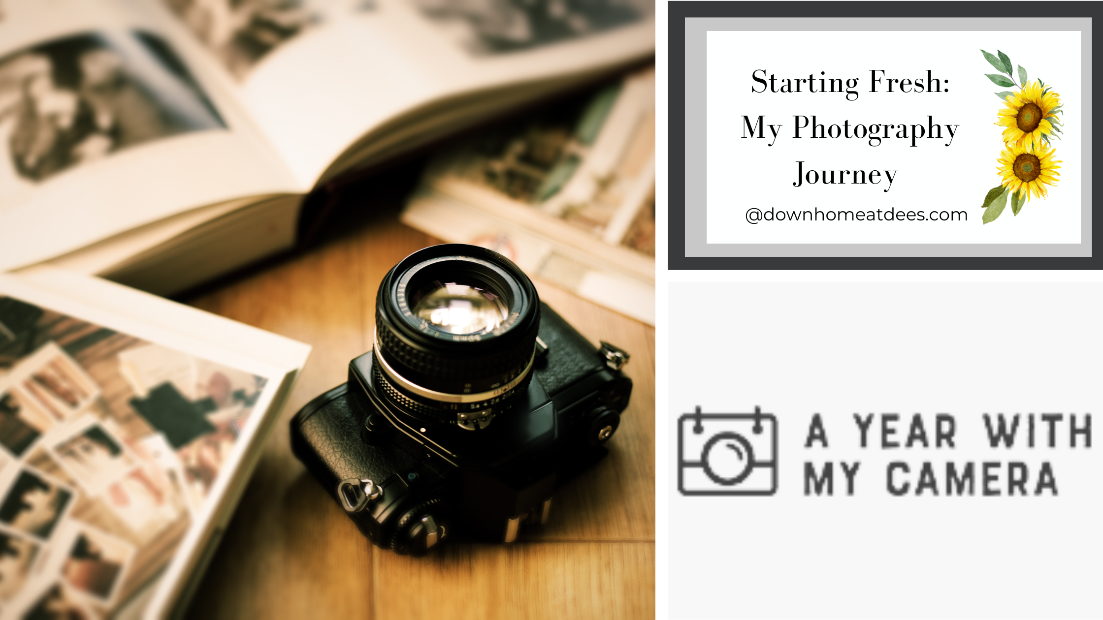 My Photography Journey: A Year with My Camera - Down Home at Dee’s